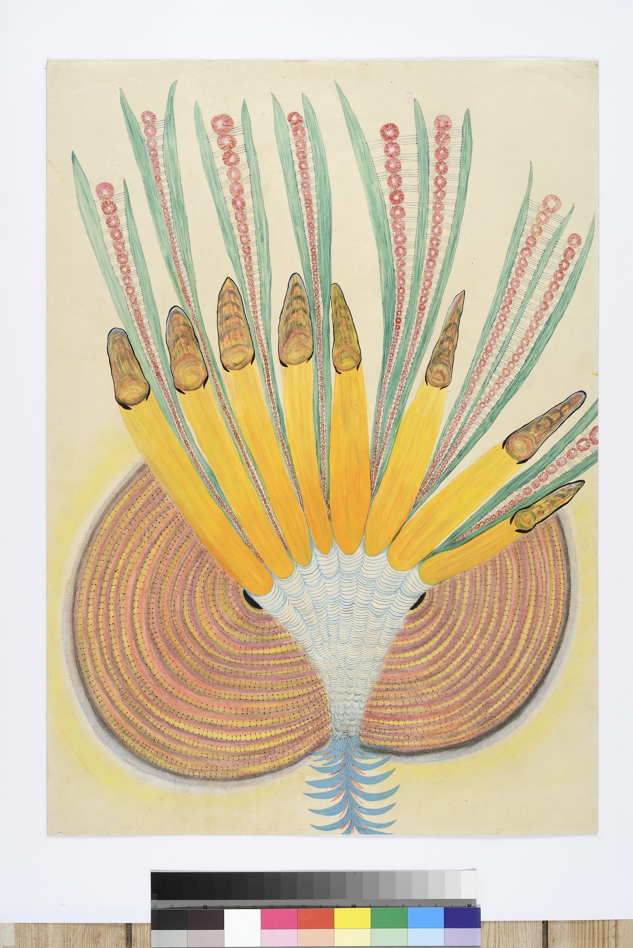 Anna Zemánková: velká umělkyně art brut - Novinky