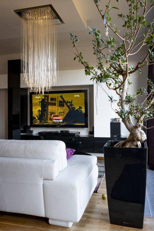 Foto: Filip Rožek bydlí s Gumpem