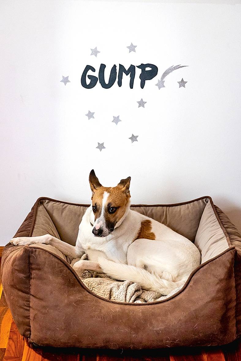 Foto: Filip Rožek bydlí s Gumpem