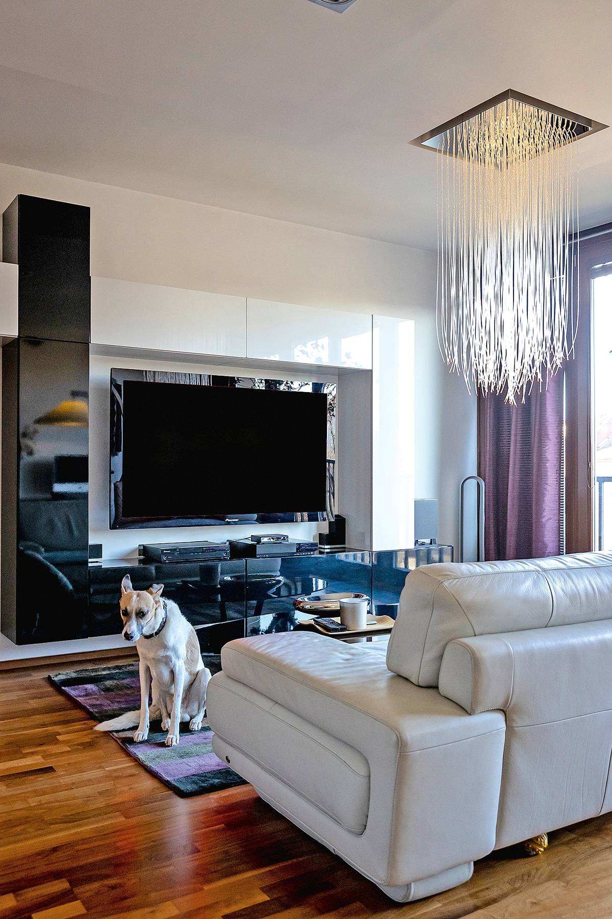 Foto: Filip Rožek bydlí s Gumpem