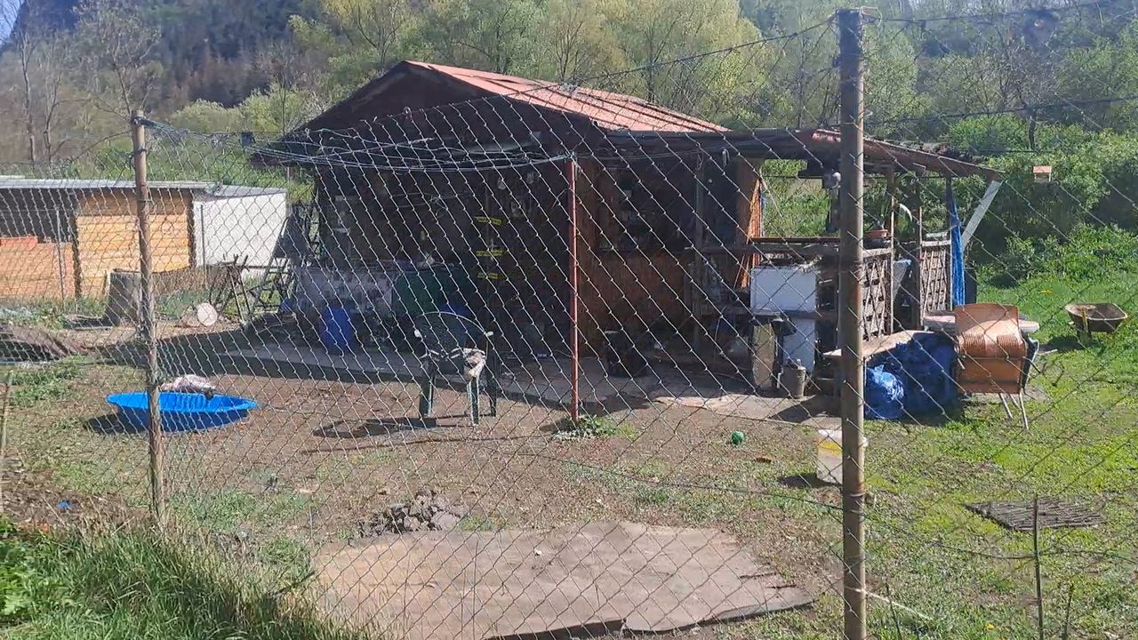 Vražda v zahrádkářské kolonii na Mostecku. Žena ubodala partnera | Stream