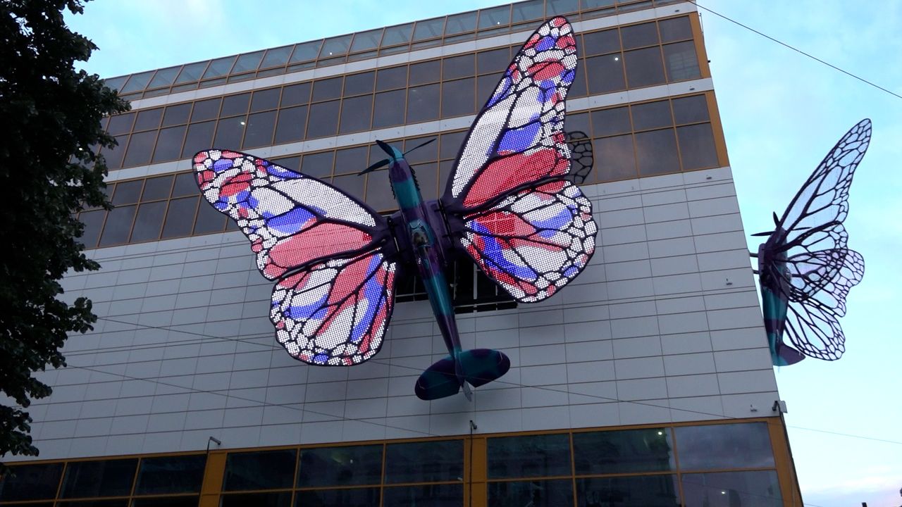 Černého stíhačky na obchodním domě Máj už mávají motýlími křídly a ...