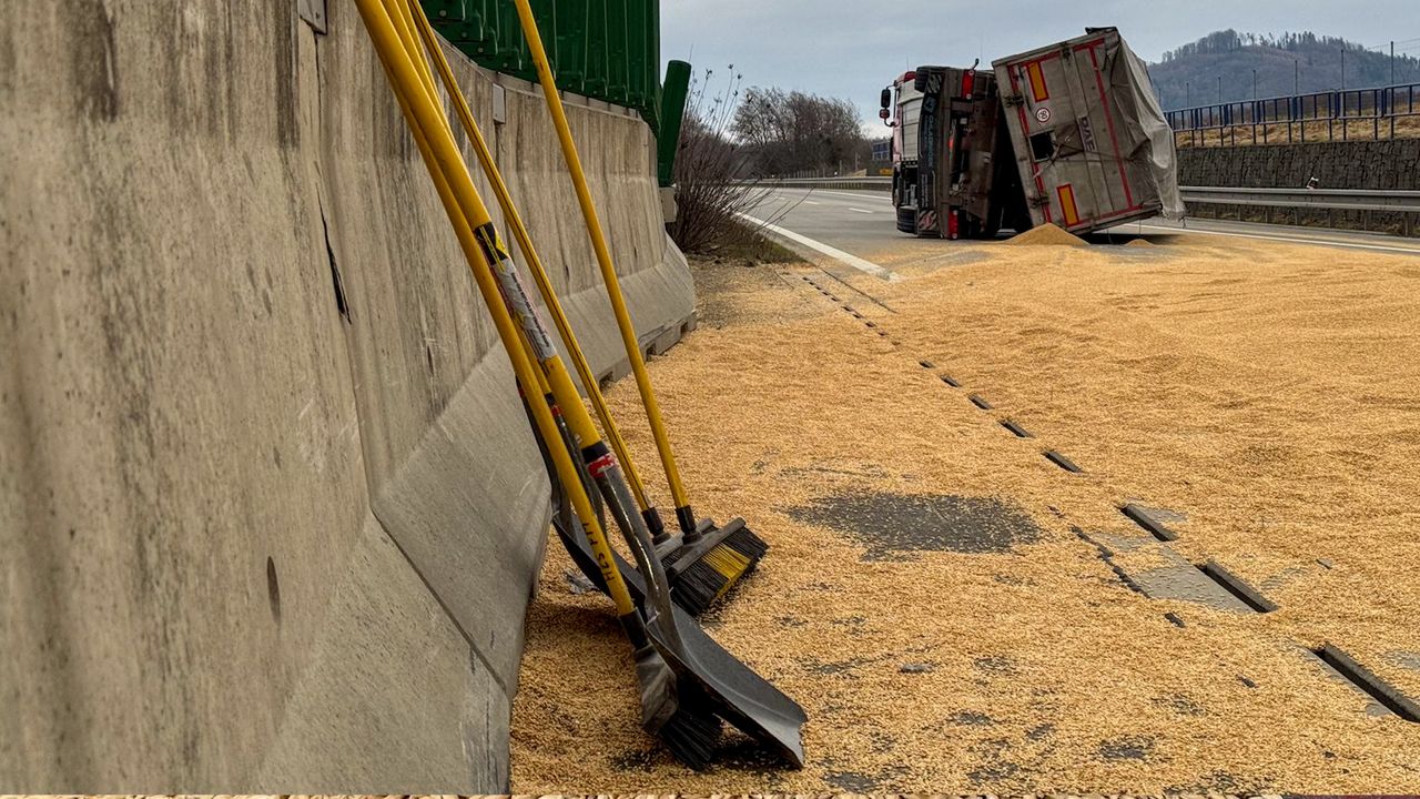 Tuny sladovnického ječmene zablokovaly dálnici D48 | Stream
