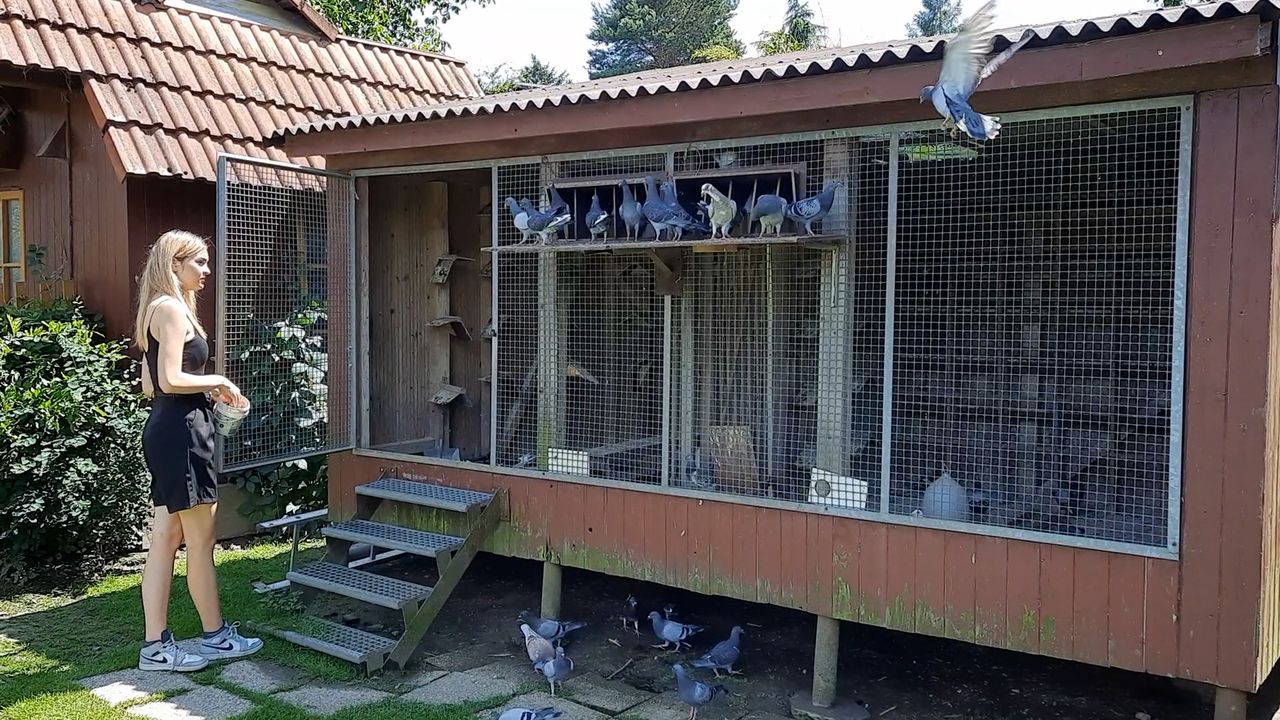 Jedna z nejmladších českých chovatelek poštovních holubů podědila lásku k opeřencům po svém ...