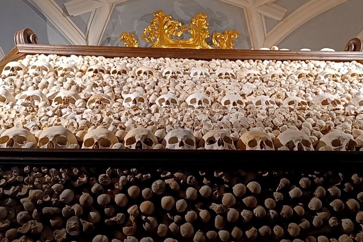 Za jediný měsíc zobchodovali Češi kryptoměny v hodnotě 430 milionů ...