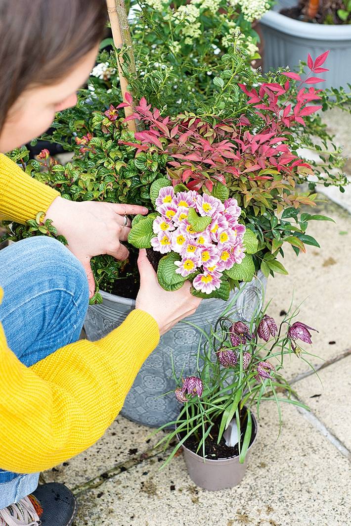 Foto: Je čas probudit terasu k životu