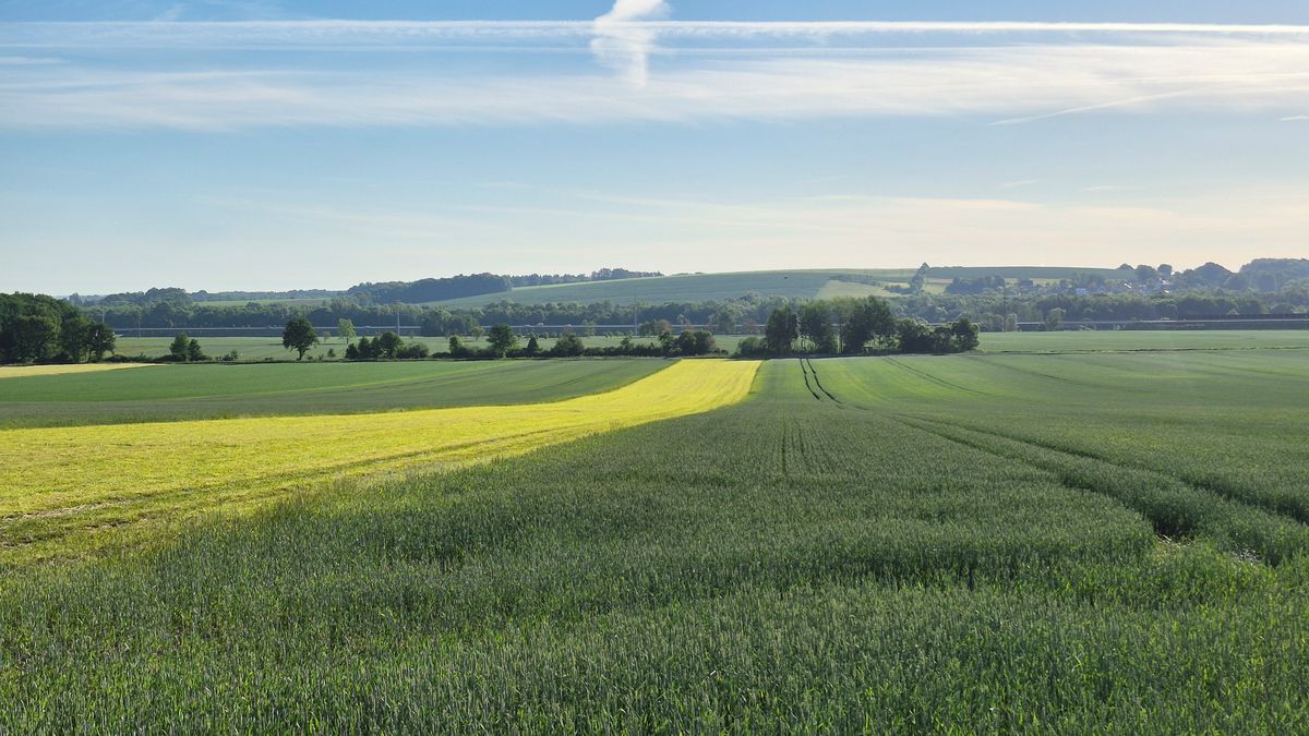 Agrofert může získat snadnější cestu k polím. Stát chystá předkupní ...